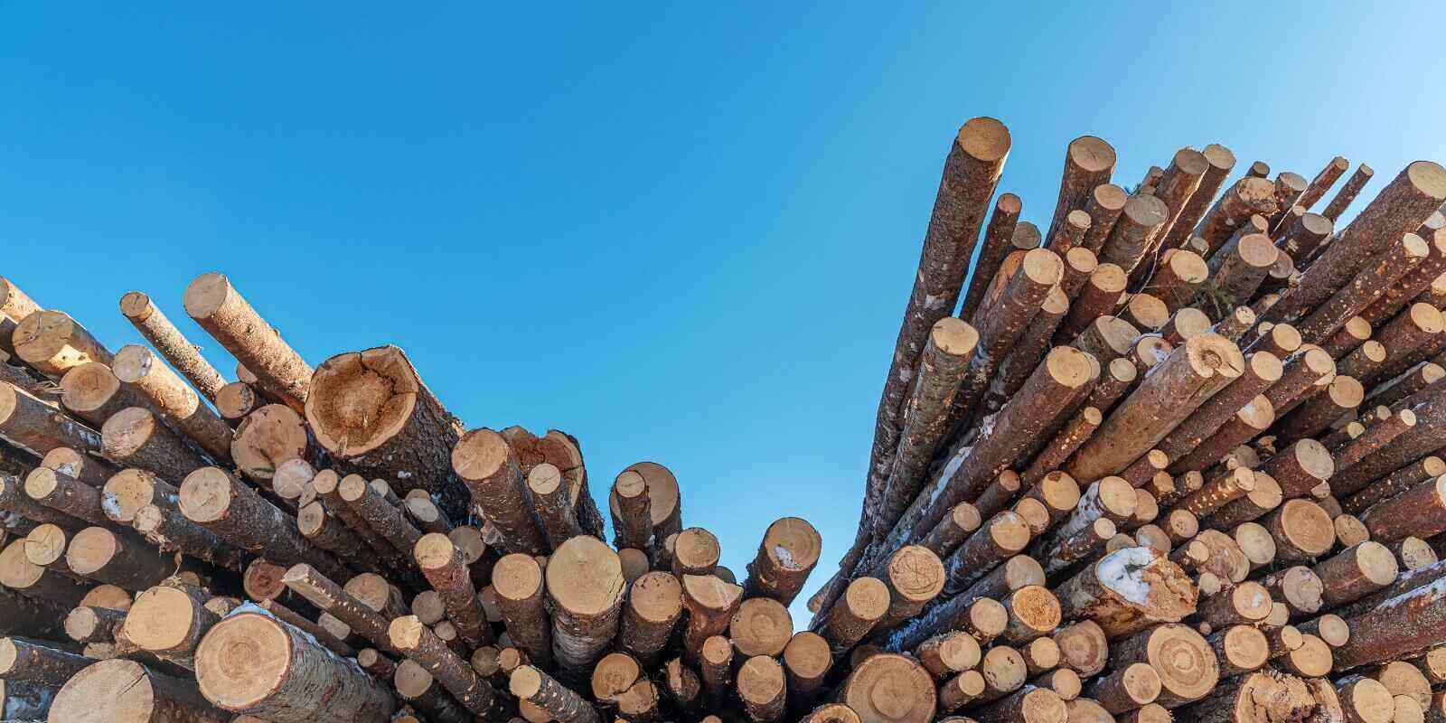 7 Tips For Choosing Wholesale Lumber - Curtis Lumber & Plywood