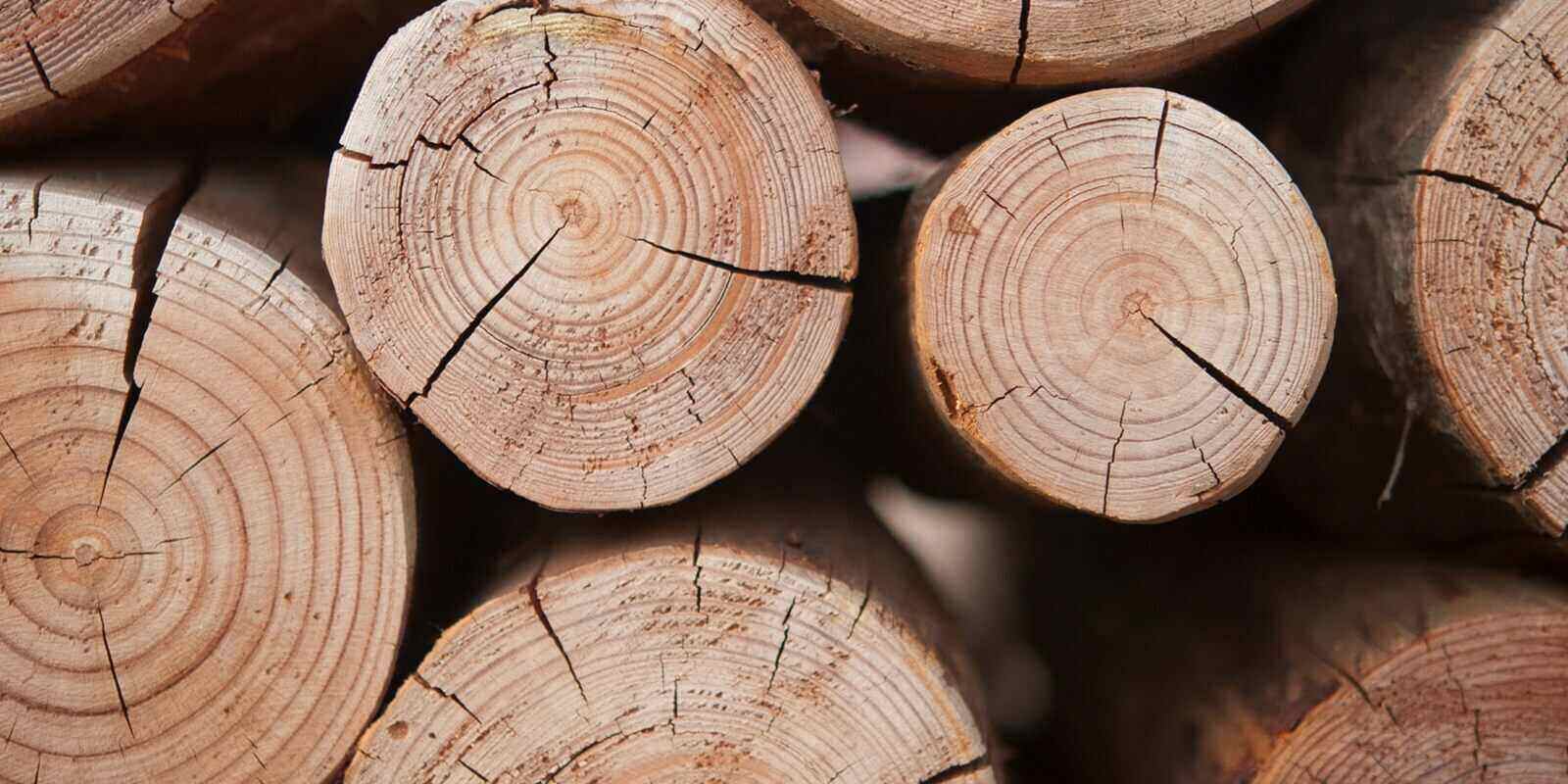 Treated Wood: Differences and Applications - Curtis Lumber & Plywood